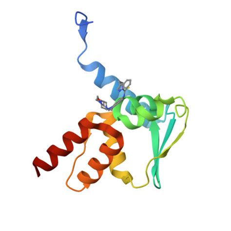 Rcsb Pdb 6c3l Crystal Structure Of Bcl6 Btb Domain With Compound 15f
