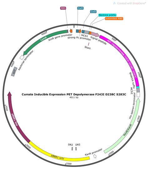 Plastic Circular Economy — Neosynbio