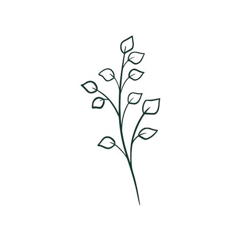 Botanical Leaf Doodle Wildflower Line Art Free Vector