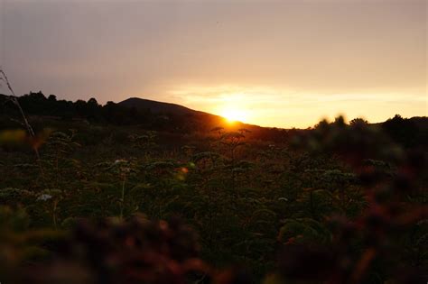 Compass Project Compass Course Open For Candidatures Read More About