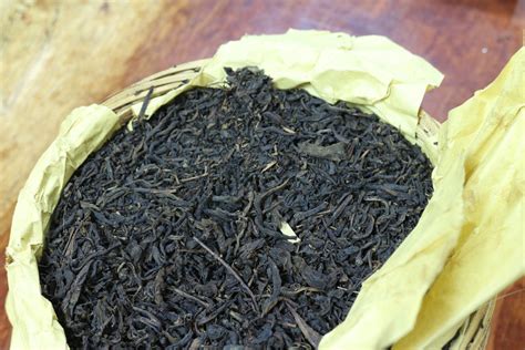 In Search Of Hei Cha In The South Of China Nannuoshan