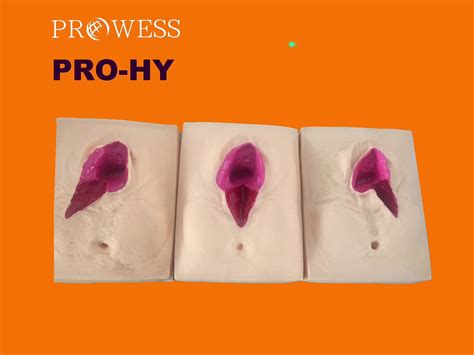 Pro Hy Episiotomy Suturing Padperineal Incision Suture Practice Model