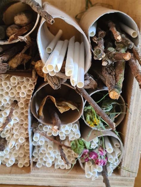 Bug Hotel For Eco Garden Recycled Paper Straws And Toilet Rolls