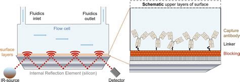 Spinal Fluid Biomarker Offers Early And Accurate Parkinsons Disease