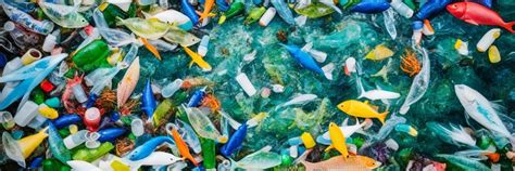 Combating Plastic Pollution In The Philippines