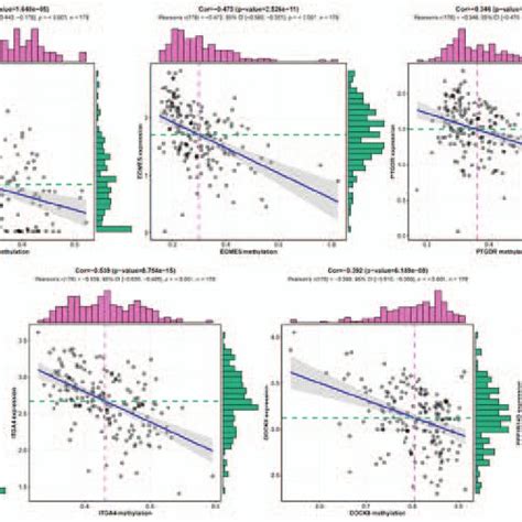 regression analysis between the dna methylation and mrna expression of