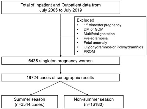 Oligohydramnios Pathophysiology