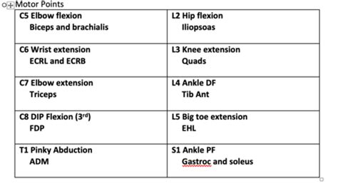 Asia Classification Flashcards Quizlet