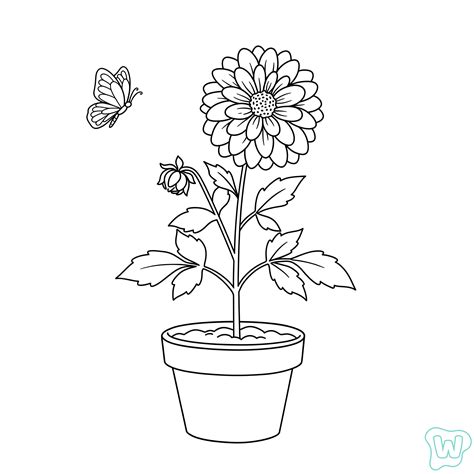 35 Flor De Dalia Para Colorear Descargar Pdf Gratis