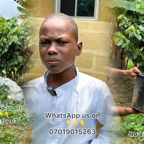 Small Prophet Emmanuel