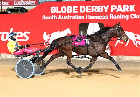 Magic Stormhrsa National Trotguide