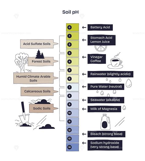 Soil Ph Is Shown With A Scale From Acidic To Alkaline Highlighting