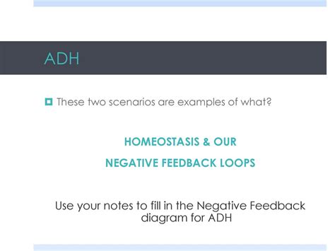 Practice Quiz 2 Multiple Choice Questions D Should Say Bandc D B A C