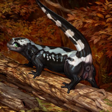 Rule 34 11 Ai Generated Amphibian Anus Black Anus Black Body Black