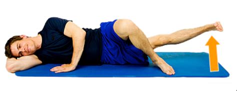 Adductor Brevis Muscle Origin Insertion Function Exercise