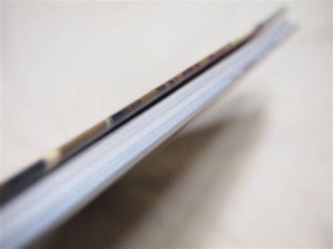 叶美香 写真集 Melting｜paypayフリマ