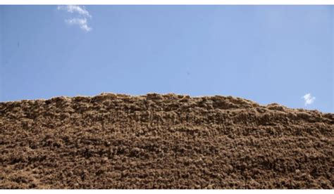 Better Forage And Fermentation Understanding Silage Inoculants Dairy