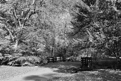 Edge House At Glen Echo Yr Architecture Design