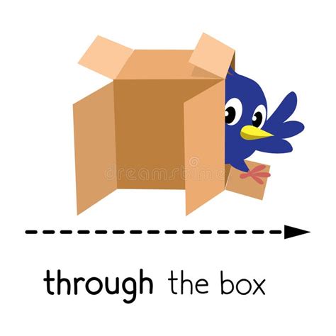 Preposition Of Movement Bird Walk Through The Box Stock Vector