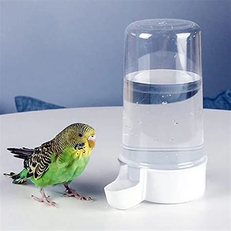 Bird Drinker At Best Price In Delhi Delhi Laxmi Subhi Sales Corporation