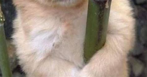 Perro Album On Imgur