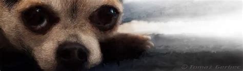 Ilustracija Tomaž Gerbec