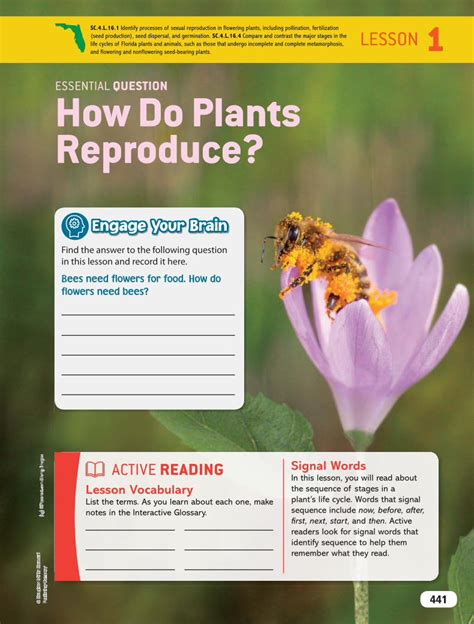 Pdf Essential Question How Do Plants Reproduce€¦ · 6 The Process Of