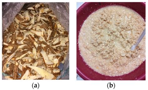 Polymers Special Issue Modification And Application Of Starch Based