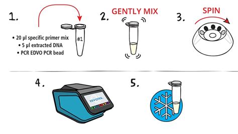 Quick Guide Polymerase Chain Reaction