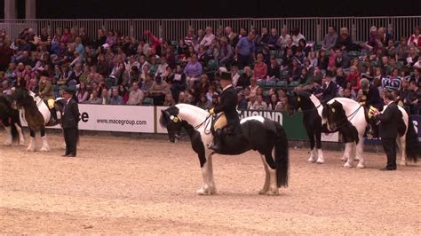 Cassius 2011 Youtube