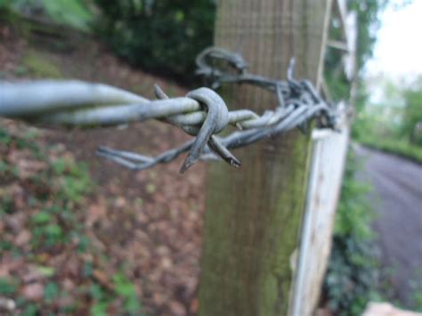 Barbie The Barbed Wire By Glowinggnome1 On Deviantart