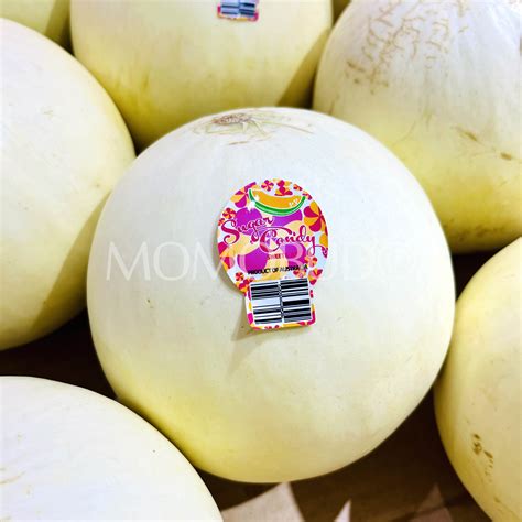 Sugar Candy Melon Medium Plus — Momobud