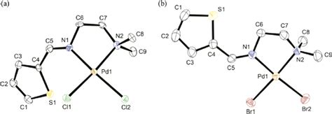 L Th Pdcl 2 A And L Th Pdbr 2 B Structures Presented Using