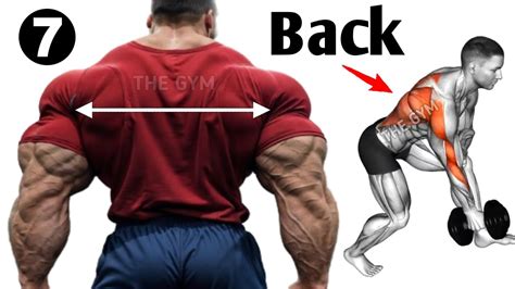 7 Exercises To Big Back Fast Back Workout Youtube