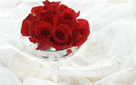 Цветы для красивой девушки - фото и картинки: 79 штук