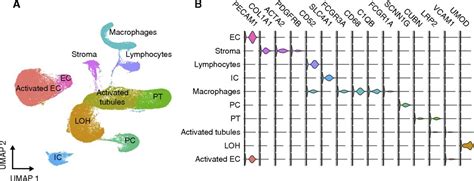 Harnessing Expressed Single Nucleotide Variation And Single