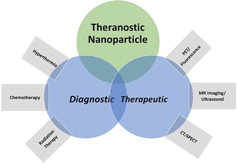 Theranostic Nanoparticles Dual Function Tools For Diagnosis And Therapy Biographs Life