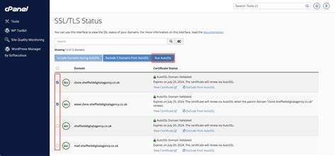 how to set up autossl on a domain in cpanel