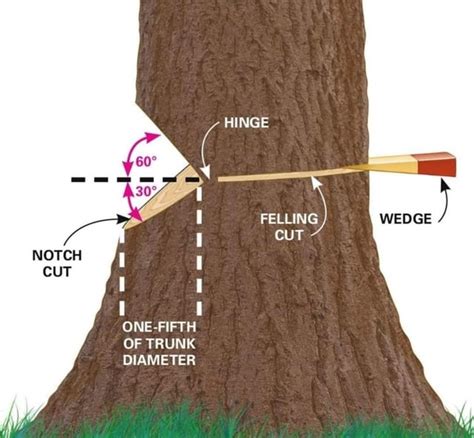 I Redrew The Usb Types Guide R Coolguides