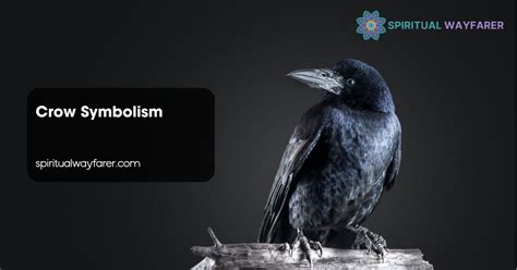 Understanding Crow Symbolism Meanings Myths And Cultural Insights