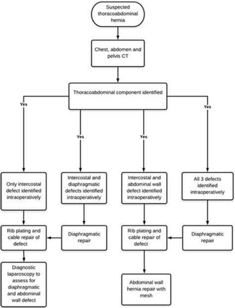 Treatment Algorithm For Diagnosis And Surgical Repair Of Download