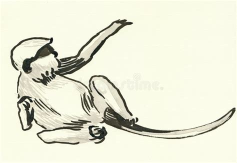 Ape Stock Illustration Illustration Of Africa Teeth 24462967