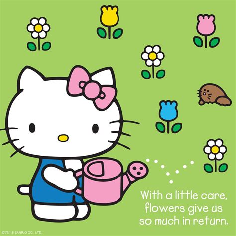 Hello Kitty On Twitter Remember To Water Your Flowers Today Wateraflowerday Hellokitty…