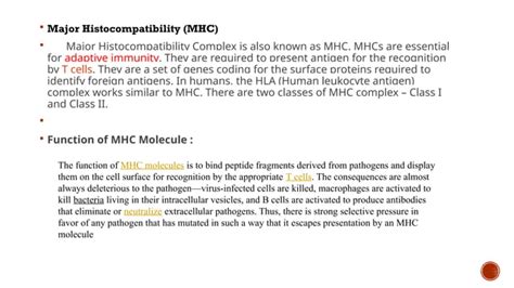 Antigen Process And Presentation And Then Mhc Molecules And Functions