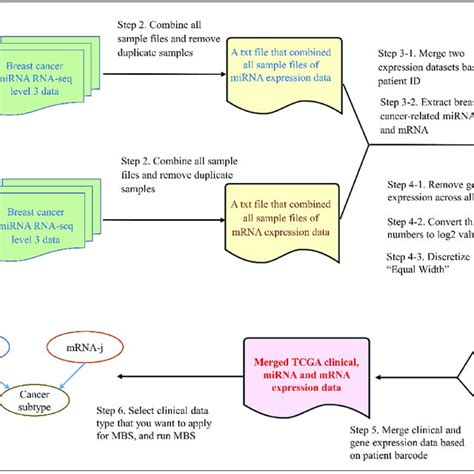 Schematic Diagram For The Pre Processing Workflow And Learning Dag