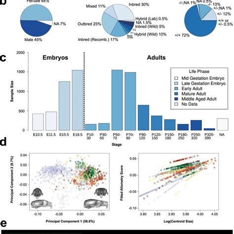 Of Metadata A Distribution Of Sex Strain Type And Genotype For The