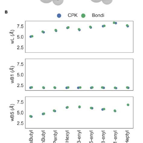 Representation Of Sterimol Parameters B1 B5 And L With Front And Download Scientific Diagram