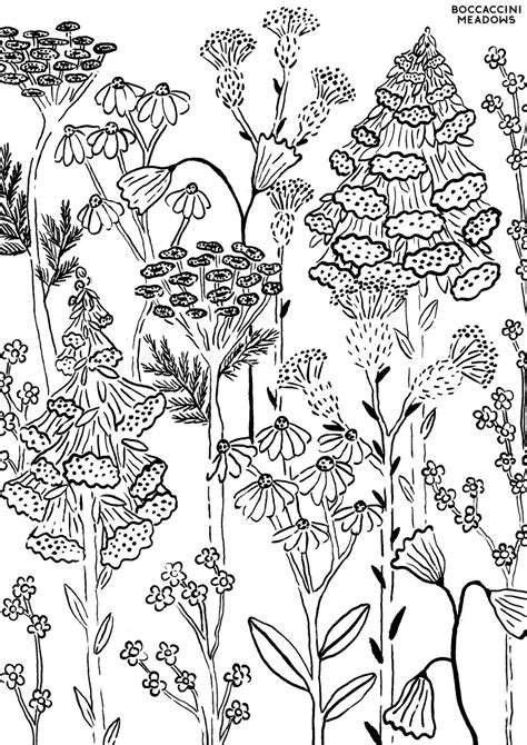 Wildflower Coloring Pages At Sasmarkblog Blog
