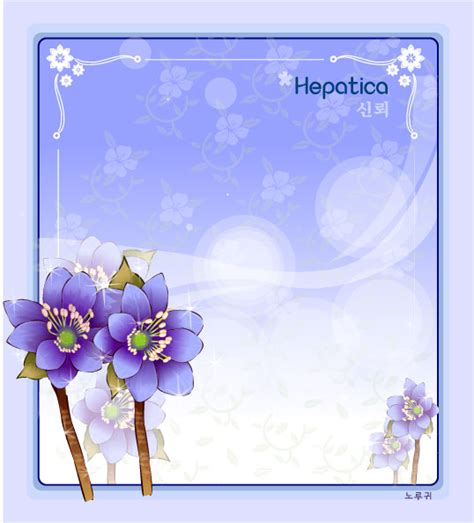 Hepatica Flower Frame Vector Free Download