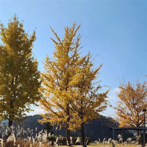 지쿱 강지영 지쿱 강지영 Added A New Photo